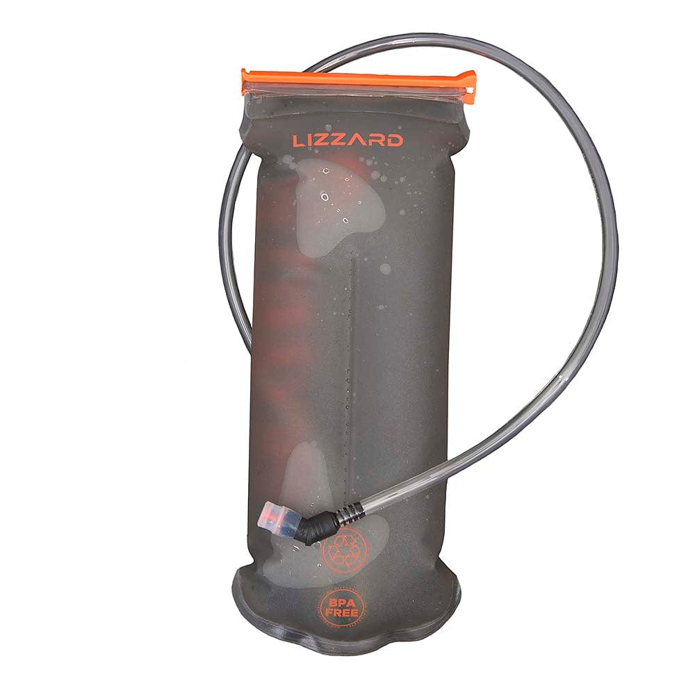 Poseidon – lizzardsa